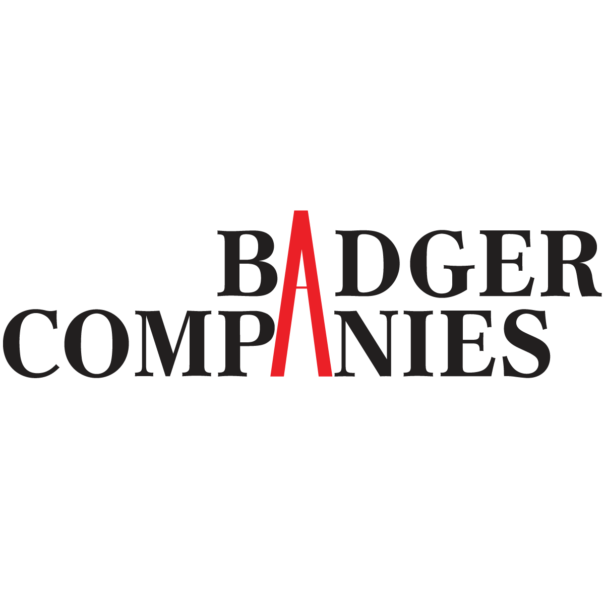 Shop Aluminum Ladders | Badger Ladder